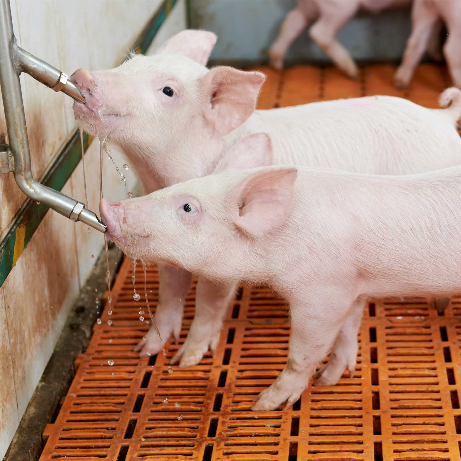 Agricultural - Remon Water Treatments